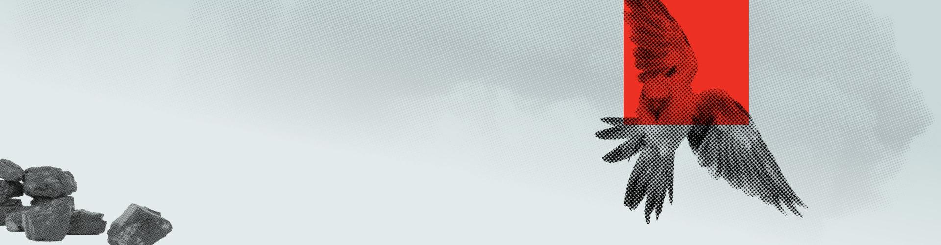 Jes - Producten | Sdu